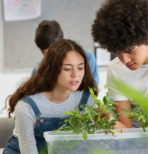 Fees - Higher Education by Activate Learning