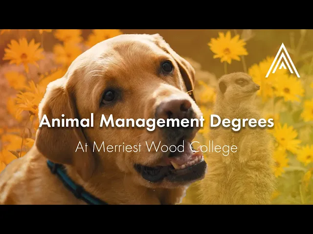 Foundation Degree Animal Behaviour and Welfare - Higher Education by ...